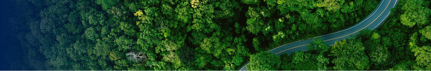 International Initiatives | FIH